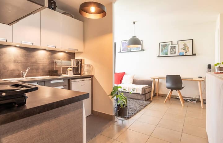 Viraya - Appartement Confortable à Deux Pas Du Lac - Annecy