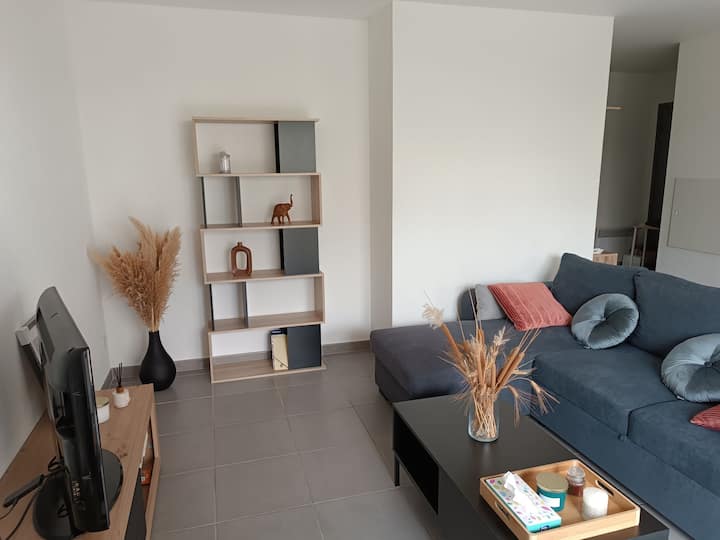 Appartement Climatisé T2 Avec Jardin - Clermont-l'Hérault