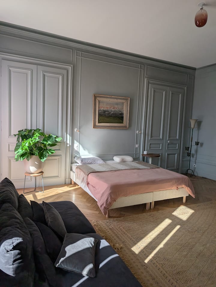 Splendid Flat Atop Grenoble - Grenoble