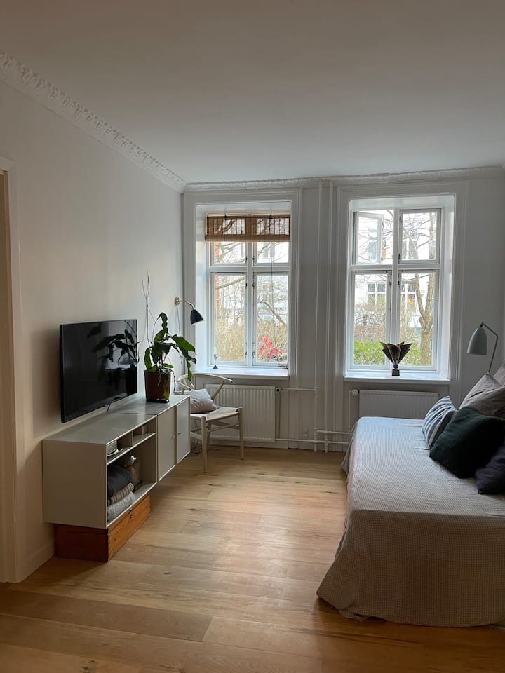 Hyggelig Børnevenlig Lejlighed - Copenhague