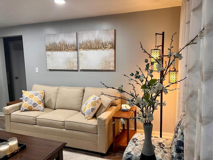 Charming Home In Buffalo Suburbs - Buffalo, NY