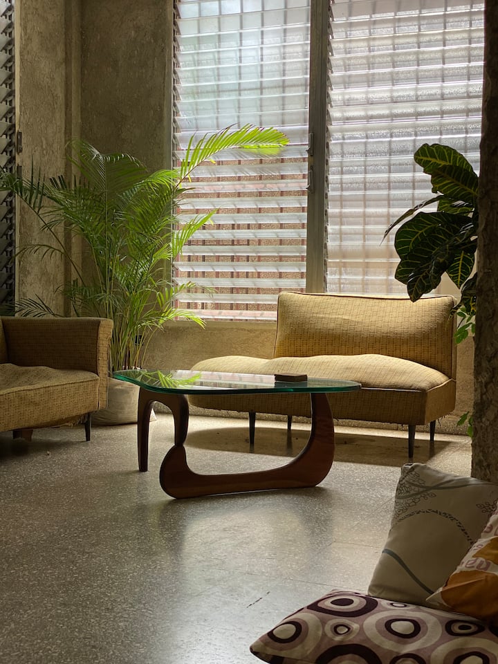 50s Charm & Industrial Greenery - Havana