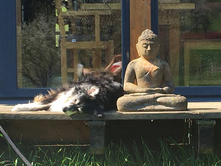 Relaxe Im öKologischen Holzhaus - Boppard