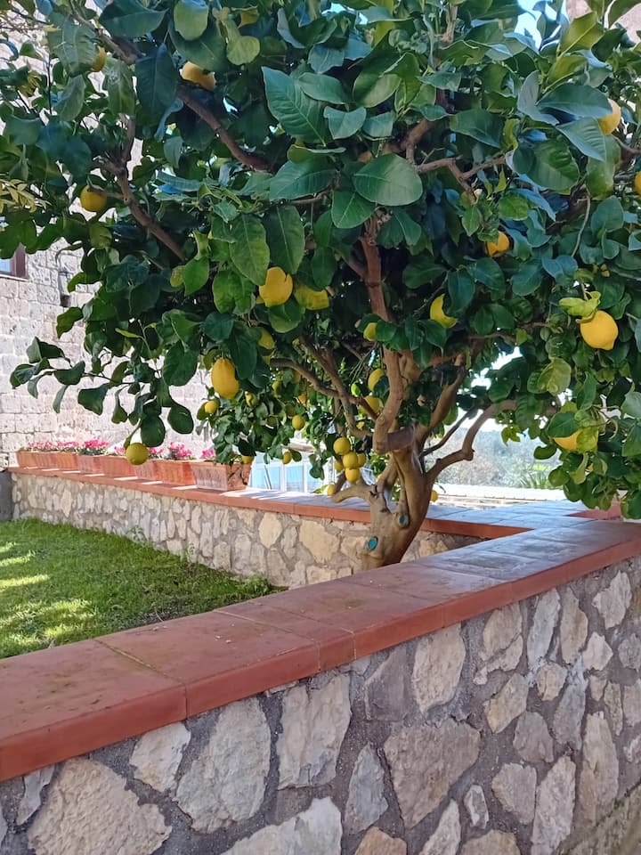 Mira Mila Home - Massa Lubrense