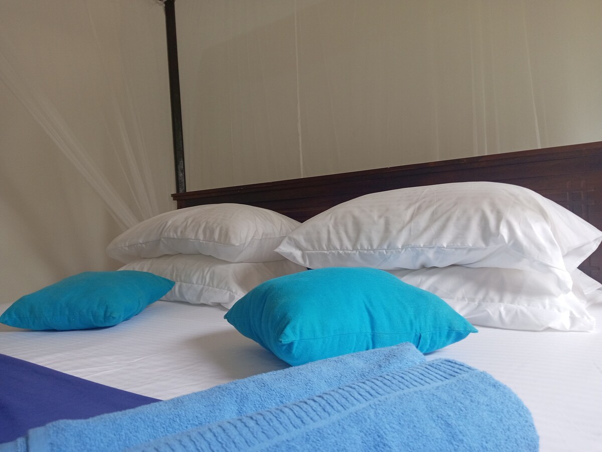 Freedom House with Jungle View - Houses for Rent in Unawatuna, Southern ...