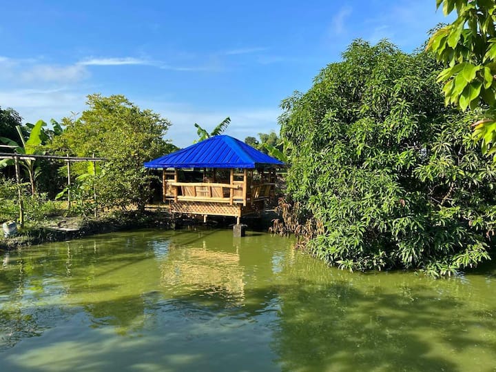 Noel’s Farm And Resort - Concepcion