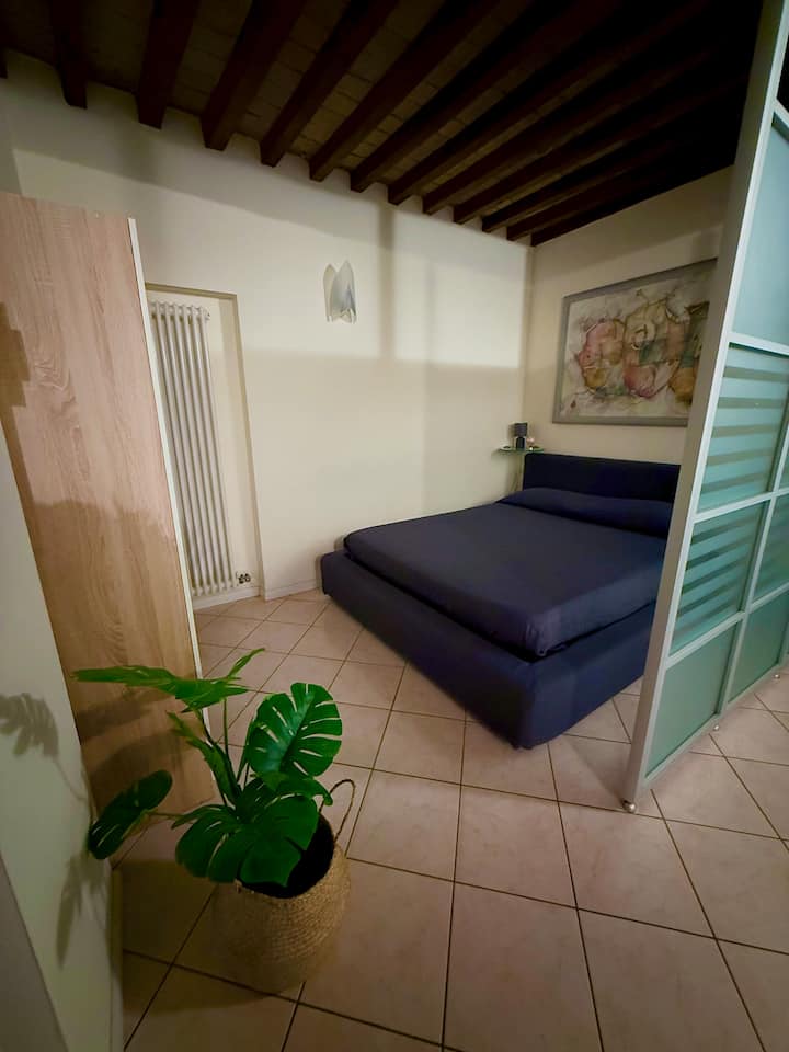 Central Parma Apartment - Parma