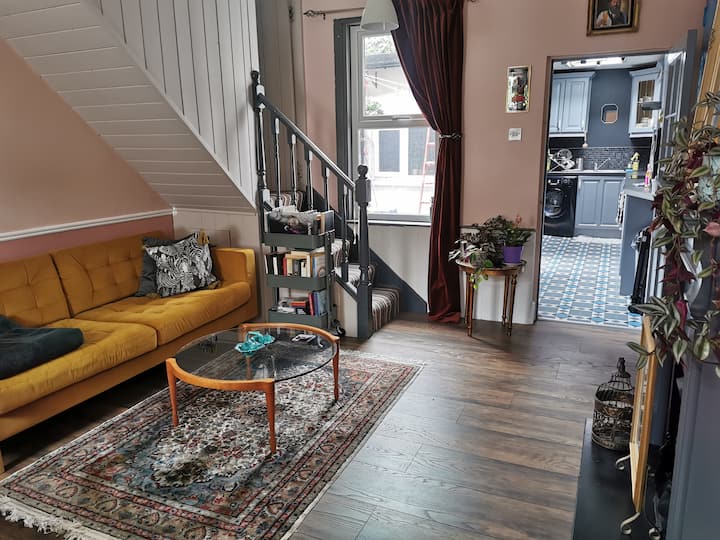 Cosy City-centre House - Dublin