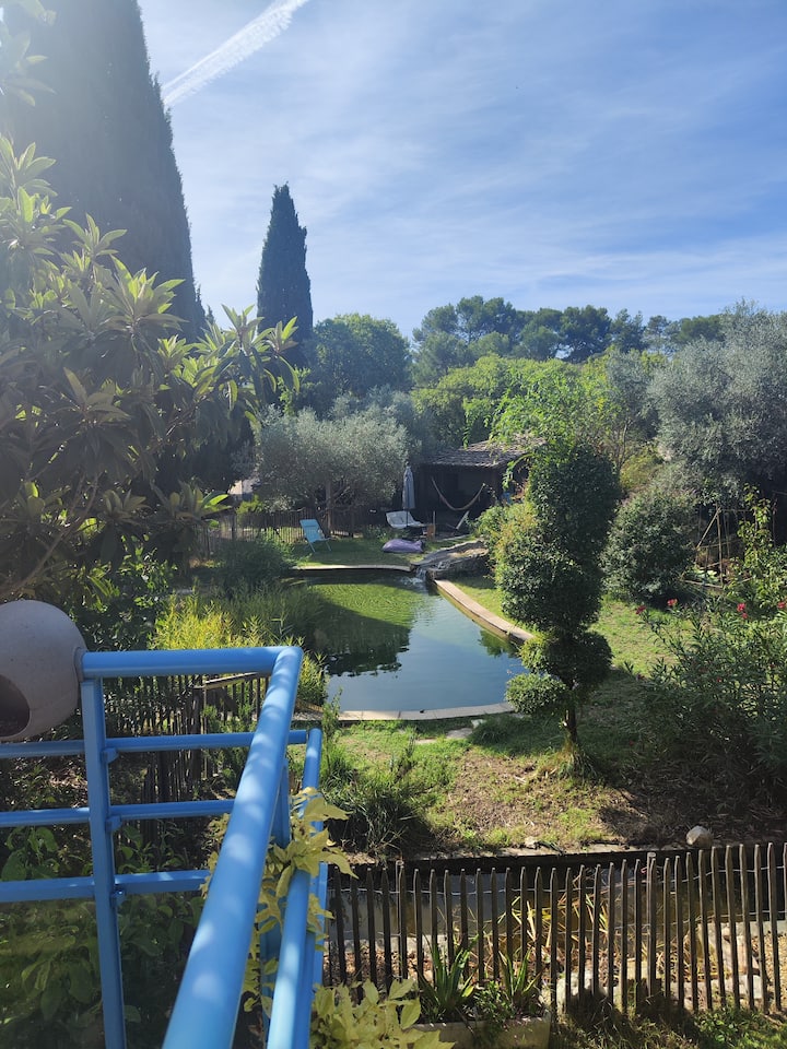 Casa Bonheur à Nîmes - Nîmes
