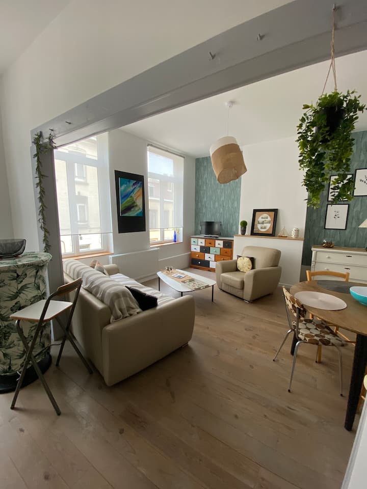 Bel Appartement Lumineux - Malo-les-Bains