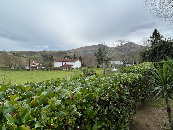 Privé-climatisé-pets-parking-close To Village - Espelette