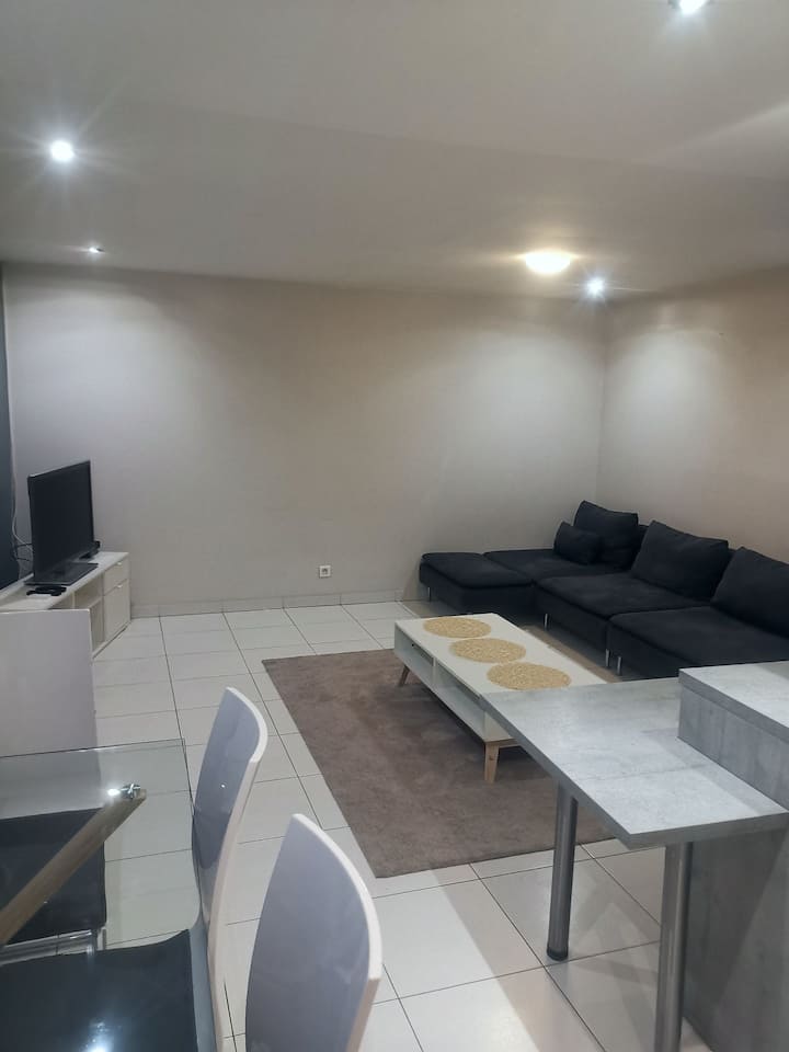 Chapeau Rouge - Appartement Au Cœur De Dijon - Dijon