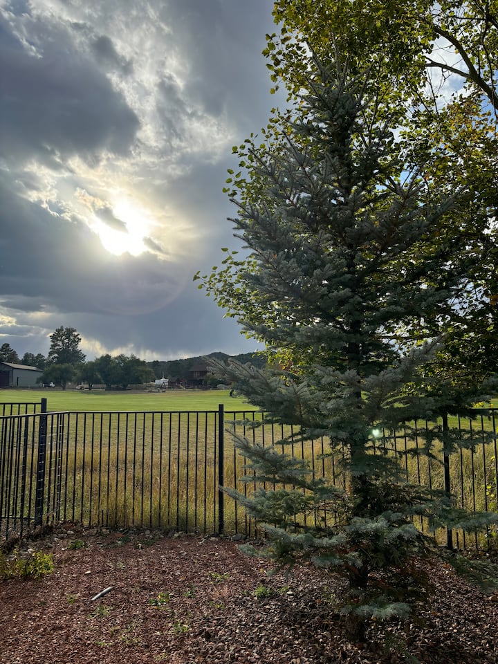 Stylish Cozy Retreat | Grand Canyon & Golf Views - Williams, AZ