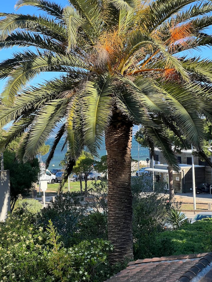 Maison Du Pêcheur En Bord De Mer, Jardin + Parking - Six-Fours-les-Plages