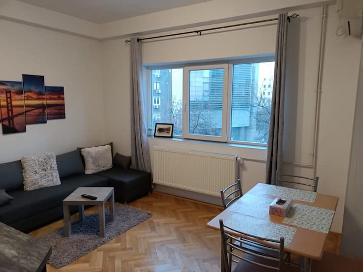 M&m Blvd Dacia/ Victorie St. Cozy&lighted+balcony - Bucarest