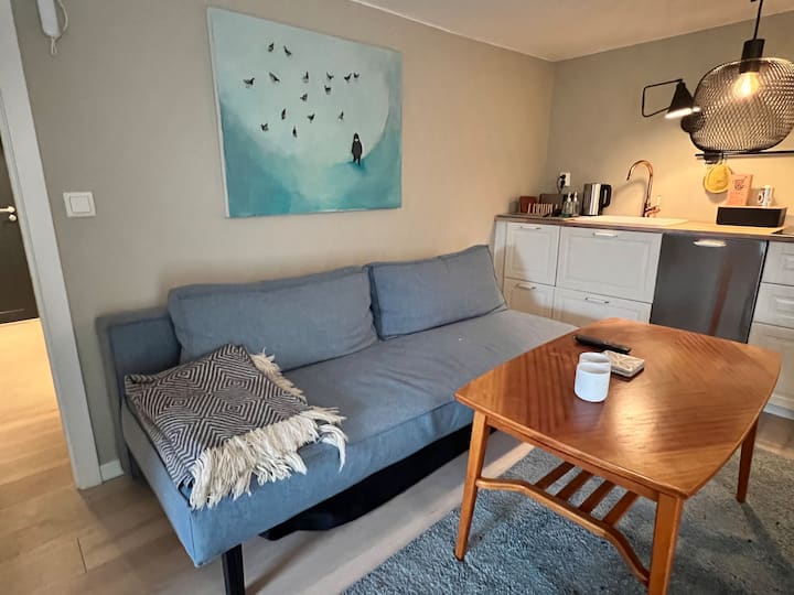 Koselig Liten Leilighet På Nordstrand - Oslo