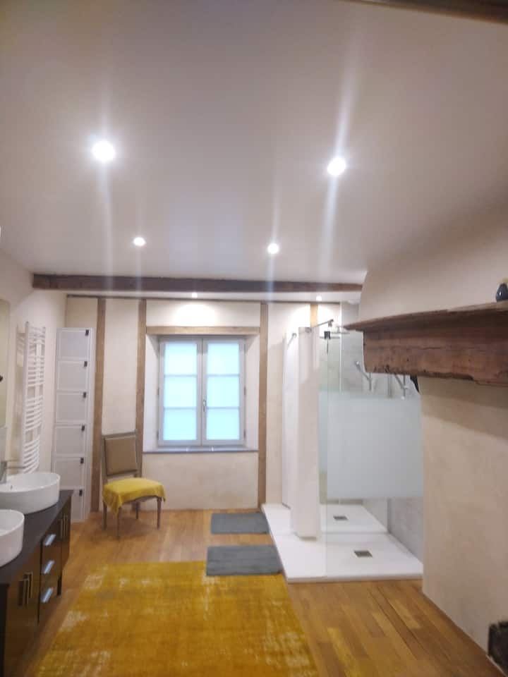 Grande Maison Conviviale Dans Centre Historique - Vic-sur-Cère