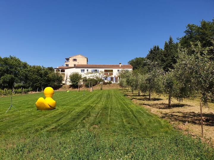 Un Mas Au Milieu Des Vignes. - Collobrières