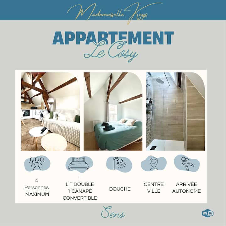 Le Cosy - Hyper Centre Ville - Sens