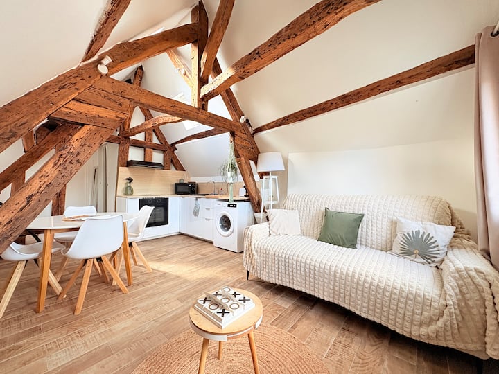 Le Cosy - Hyper Centre Ville - ibis Sens