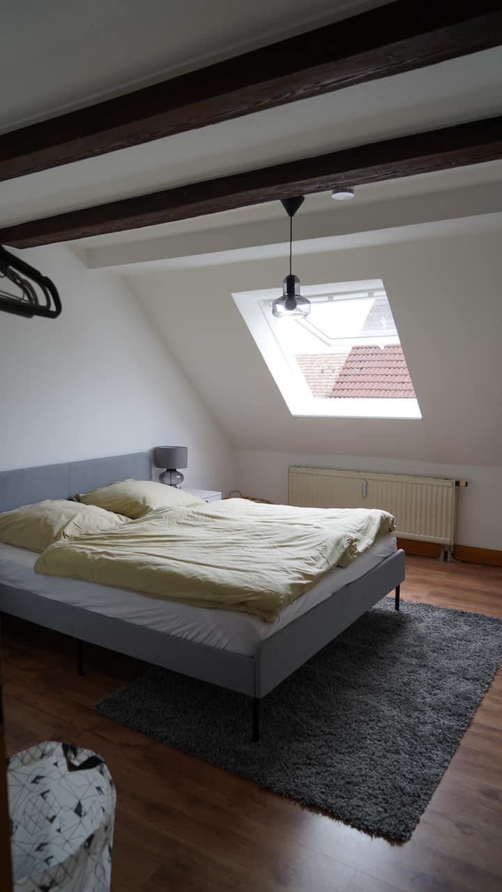 Schöne Wohnung Nähe Europapark - Marckolsheim