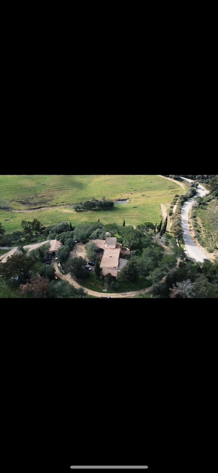 Villa 10 Pers Corse Du Sud - Tizzano