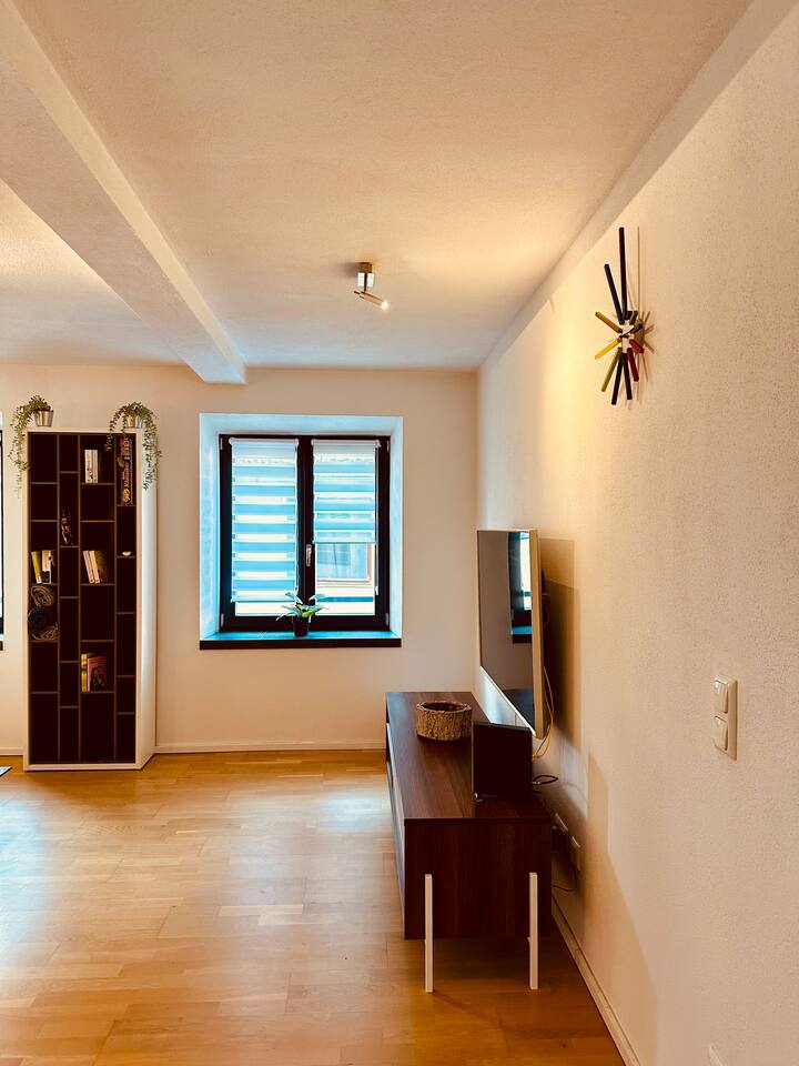 Cozy/spacious 3 Bedroom Flat In The City Center - Memmingen