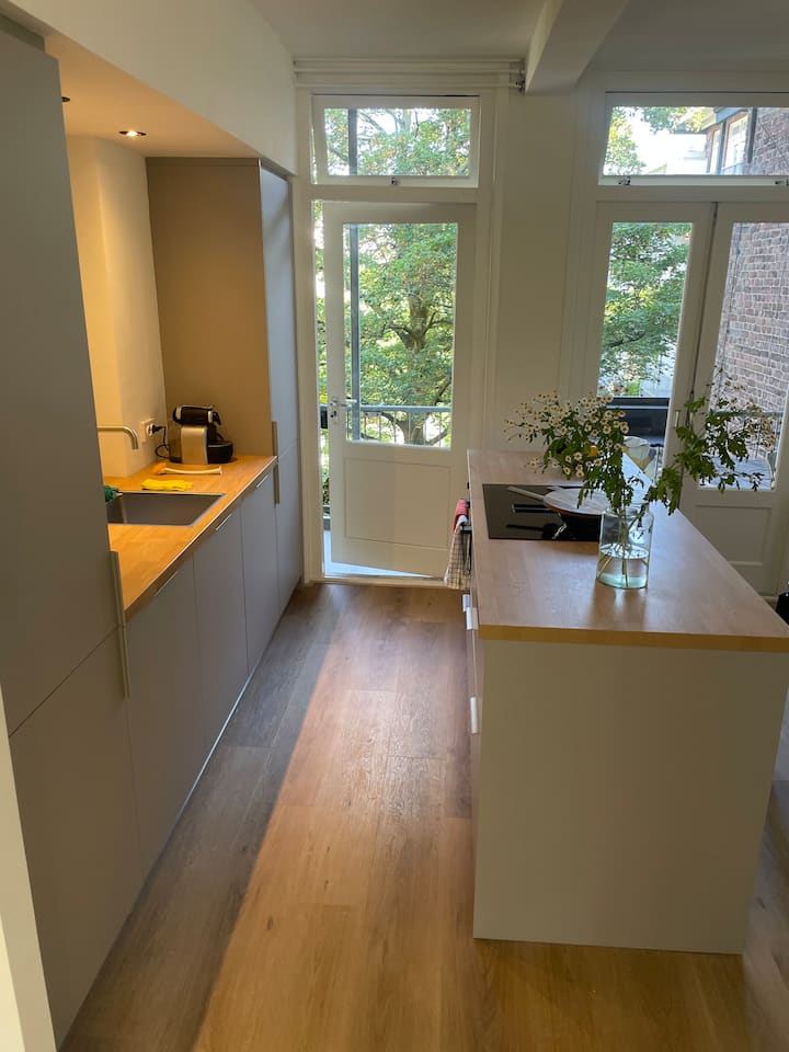 Fully Renovated Light Apartment - Ámsterdam