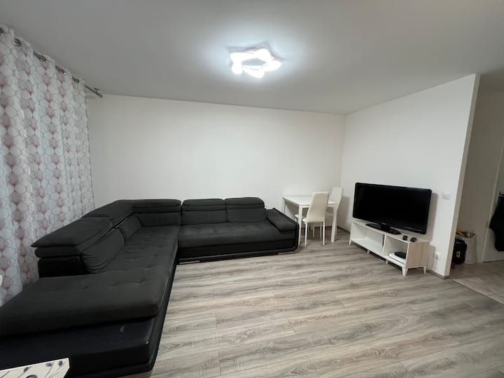 L’appartement Grand Et Spacieux - Metz