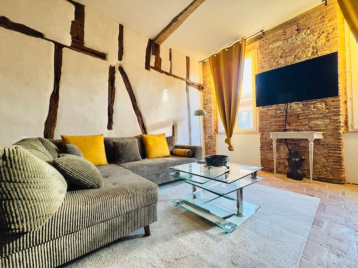 Appartement Centre Historique L 2 Chambres L Clim - Lavaur