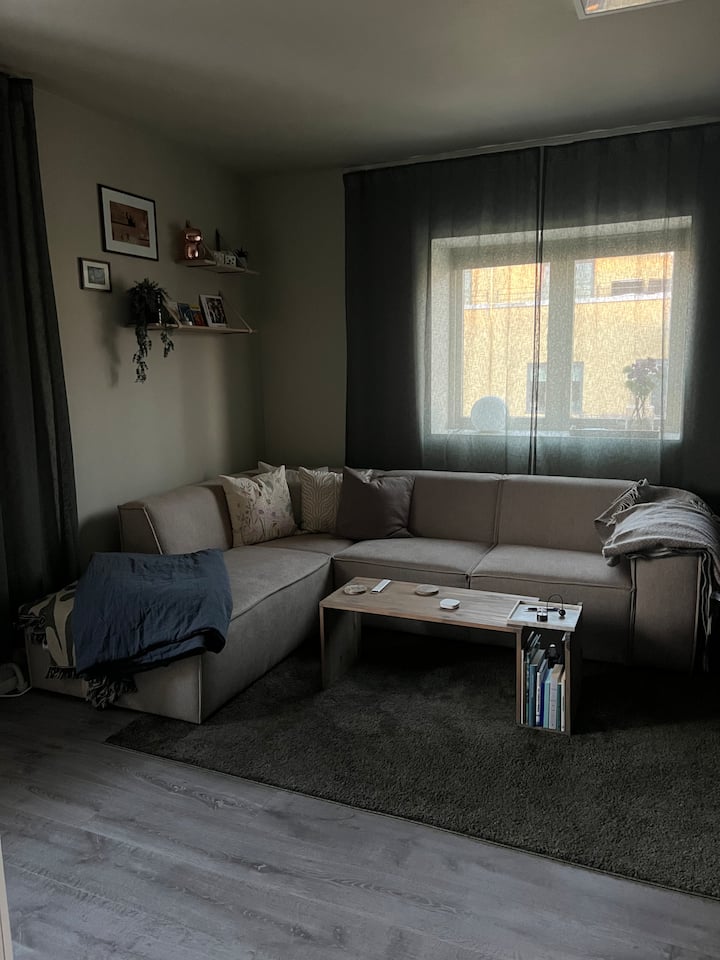 Liten Leilighet På Ila - Oslo