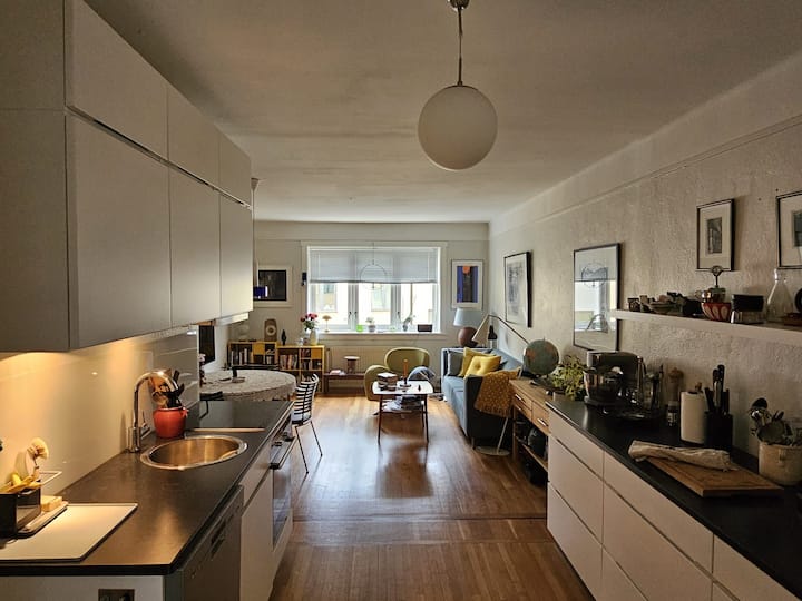 Central, Cosy 2 Bedroom Apt - Oslo