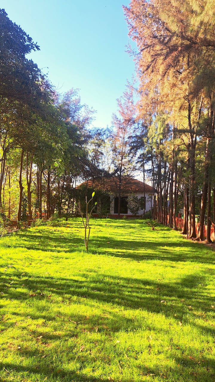 1 Br Youtube Fetrd Ecostay |Lake-forest-pool-birds - Gujarat