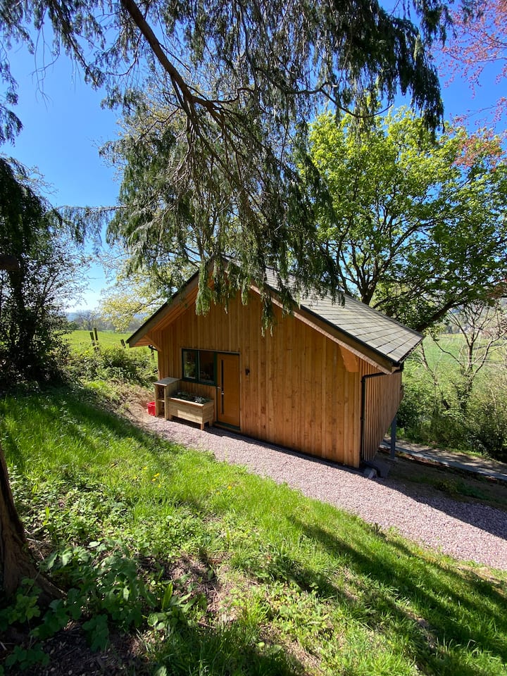 Cabin In The Trees - Welshpool