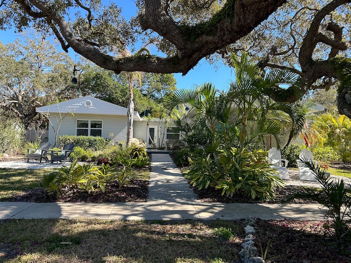 Attraversamo 100 - Palm Harbor