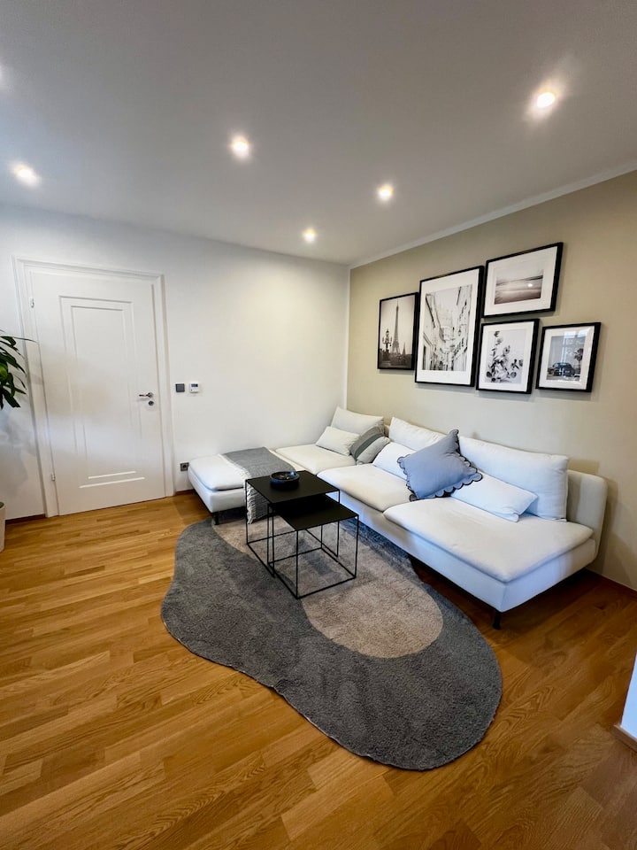 Appartement Cosy&moderne Dans Une Villa Fabricant - Villingen-Schwenningen