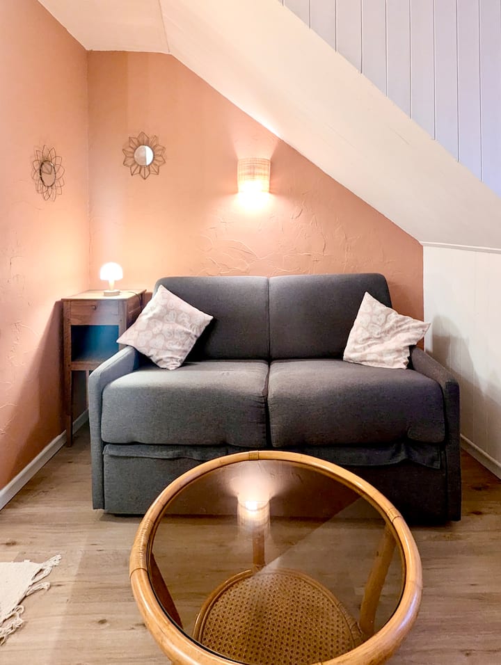 Studio Lumineux - Plein Cœur D'aix-les-bains - Aix-les-Bains