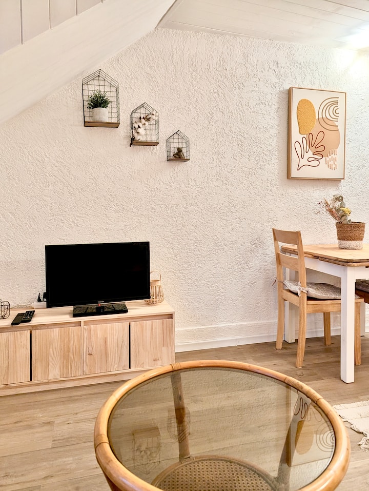 Studio Lumineux - Plein Cœur D'aix-les-bains - Aix-les-Bains