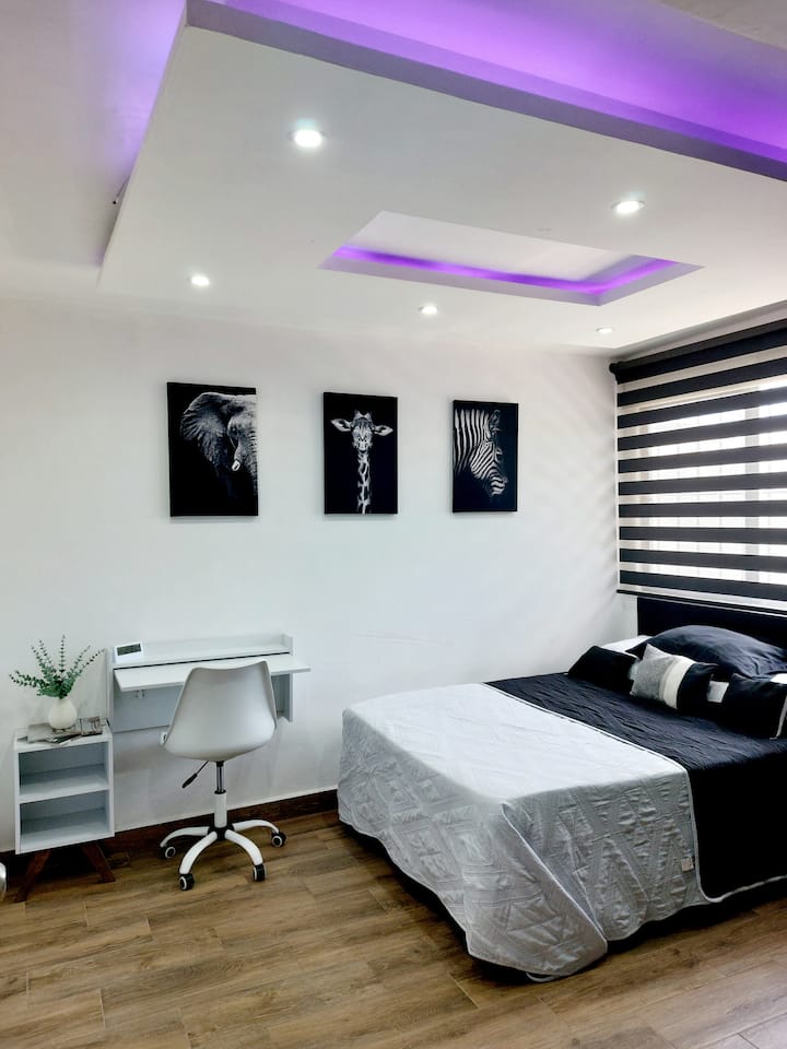 Ps4 | Cine En Casa | Aeropuerto | Central | Imss - Torreón