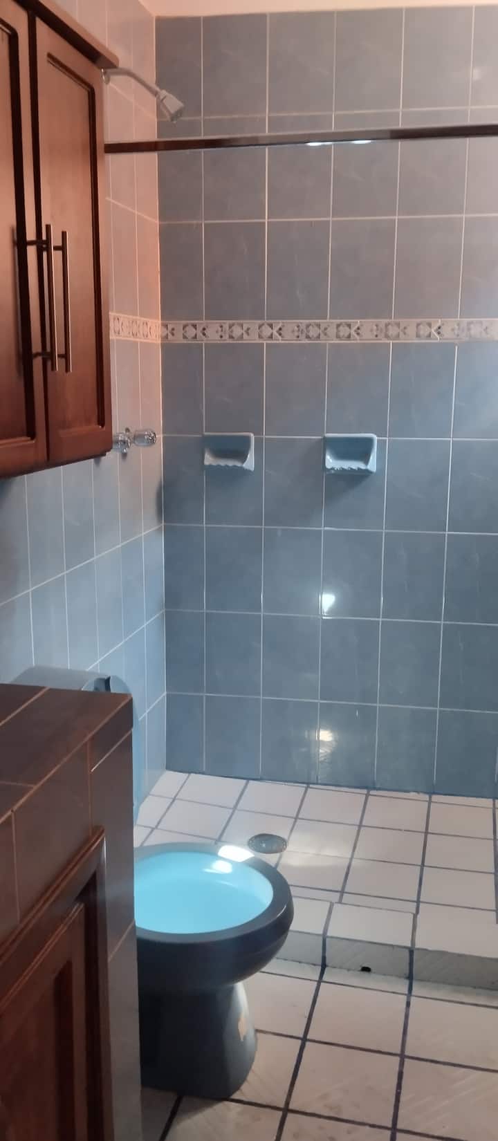 Cómoda Casa En Renta - San Miguel de Allende