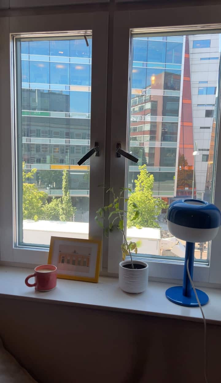 Lys Og Sentral Leilighet - Gangavstand Til Alt - Oslo