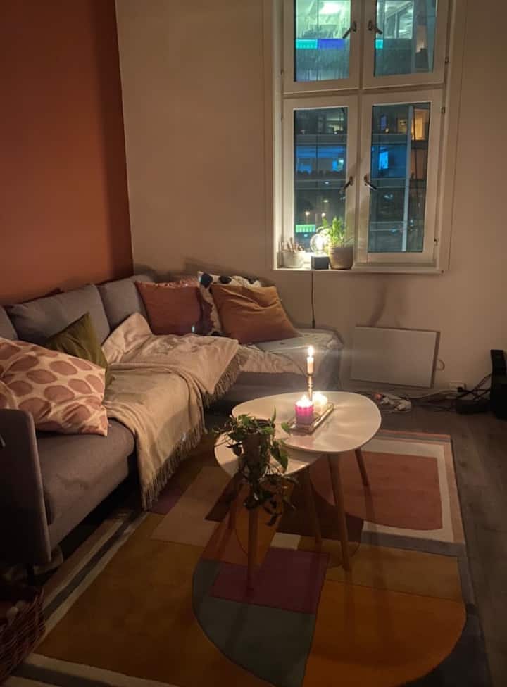 Koselig Leilighet I Oslo Sentrum - Oslo