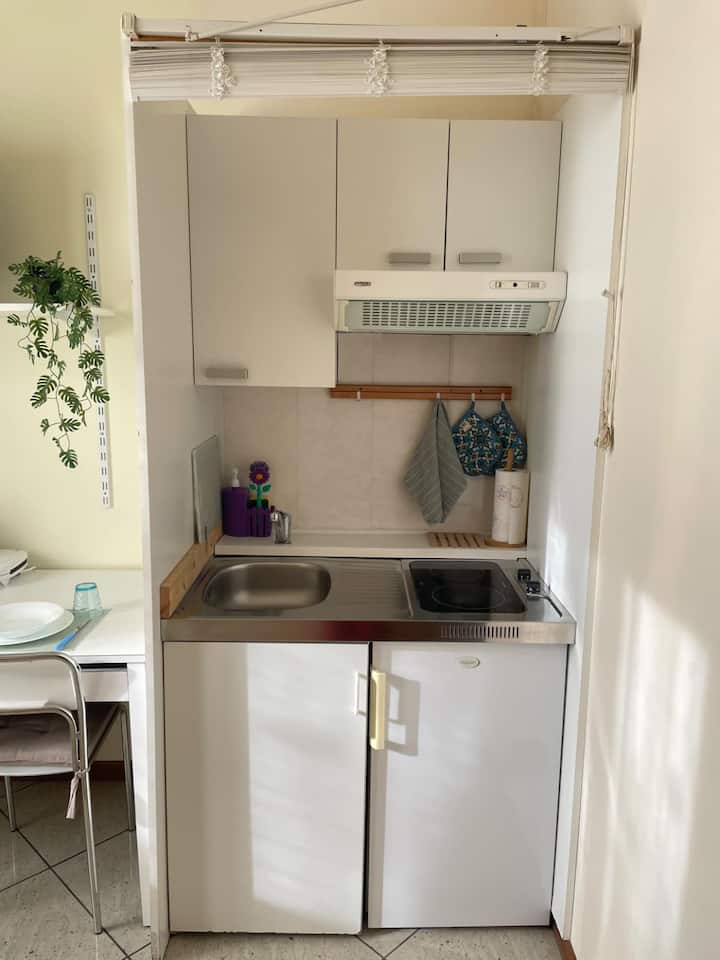 2 Beds 4 Mi Studio Flat In Milan - Milan