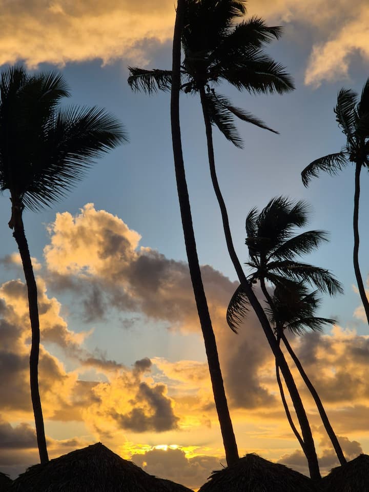 C-301 Apt On The Beach In Los Corales, Punta Cana - Punta Cana