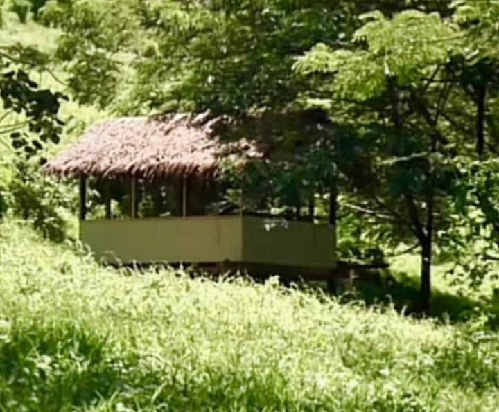 Forest Hut Aore Island Long Stays Vanuatu - Vanuatu