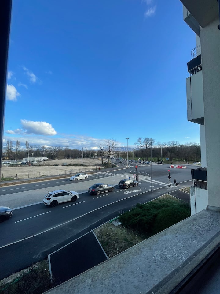 Renewed Apartment By The Border - Ferney-Voltaire