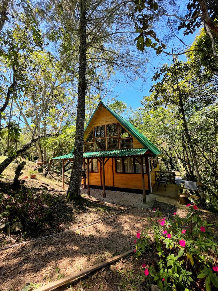 Chalet & Kiosko Dónde Piedra - Cartago, Costa Rica