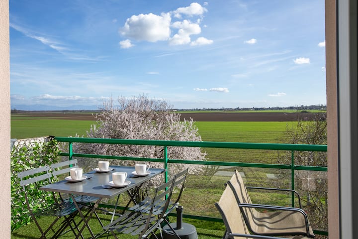 Le Belle Vue à Horbourg-whir à 5 Minutes De Colmar - Horbourg-Wihr