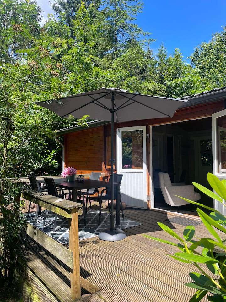 Houten Huisje In Het Bos + Sauna En Fiets. - Epe