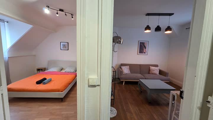 T2 Proche Du Ch D'arras - Écurie